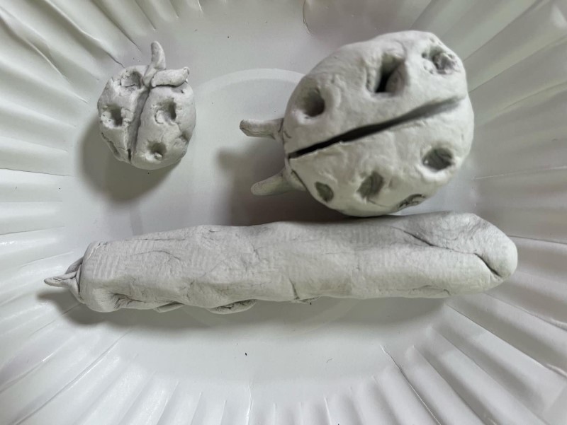 Mini-beasts clay fun 😊 - Art on Parade